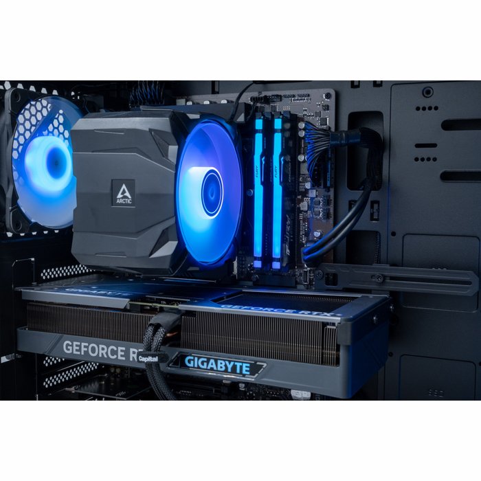 Capital NEO X Sentry Plus 13th